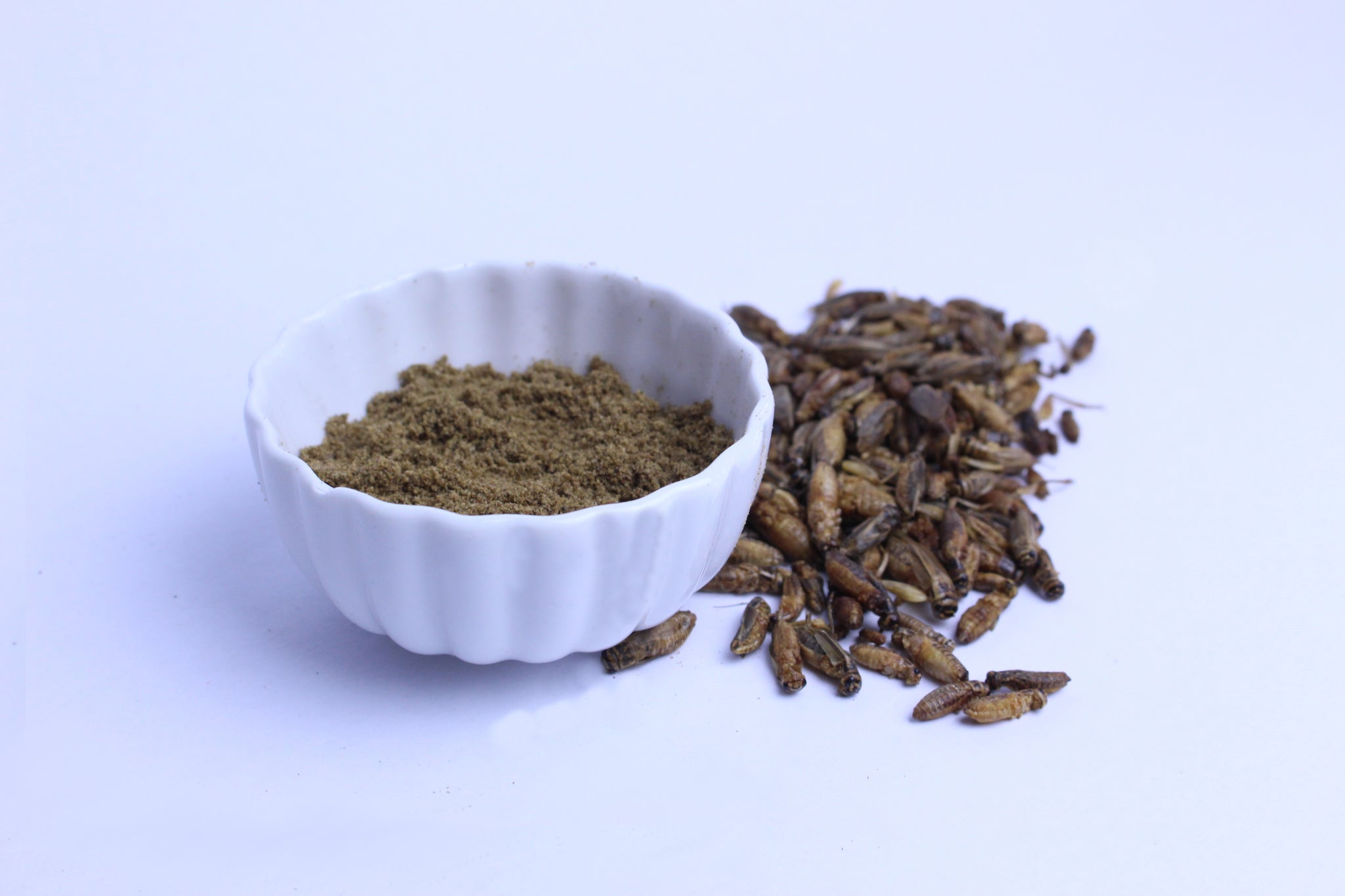Heimchen-Mehl, 100 g - Catch-Your-Bug