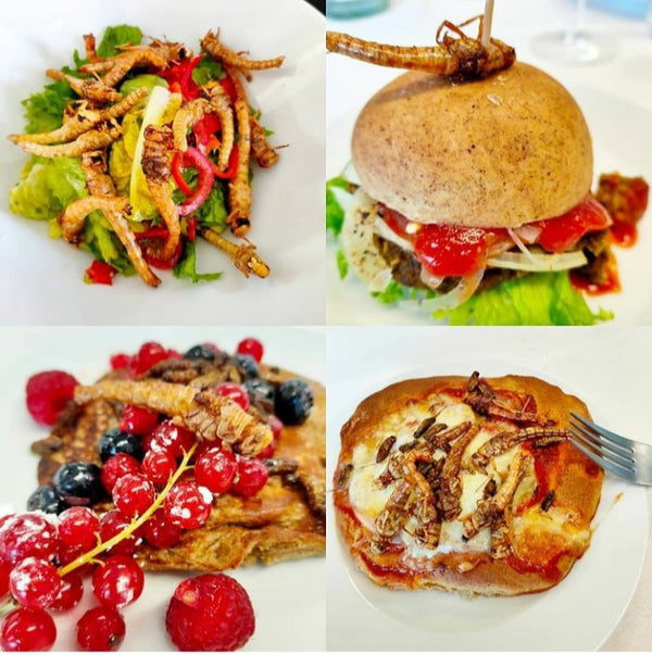 Vorträge/Workshops - auf Anfrage - Catch-Your-Bug