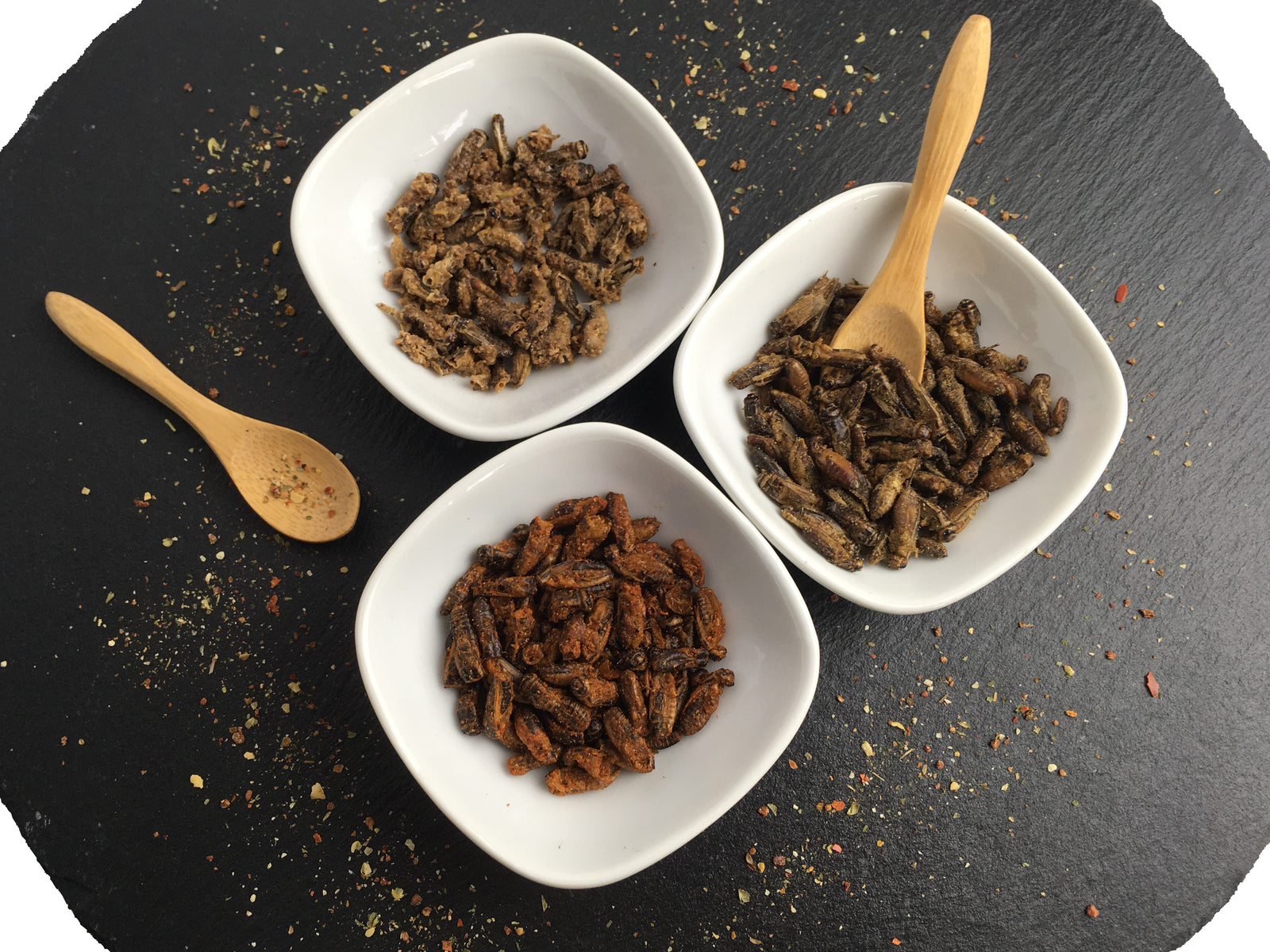 Gewürzte Insektensnacks 3er-Pack, je 15 g - Catch-Your-Bug